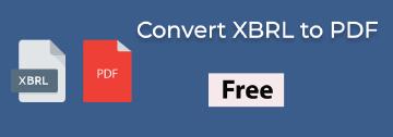 Convert XBRL to PDF Online for Free | Fast & Secure XBRL Converter
